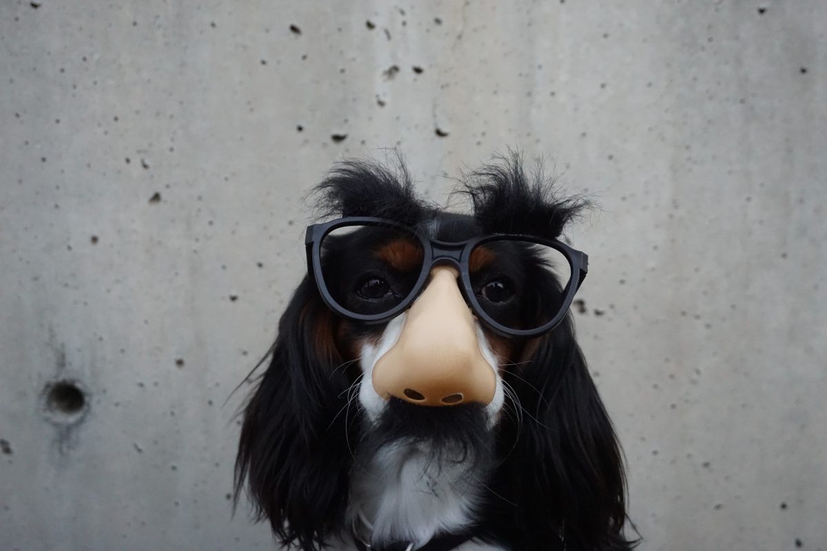 Do foreign jokes work in English? - Comtec Translations